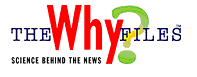 Education World At Home: Guided Tour: Science | Education World