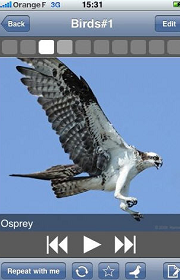 iPad App Review: LearnAnything | Education World