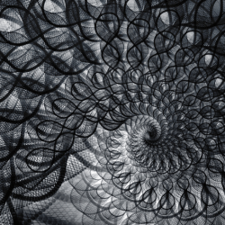 Patterns in Nature: Math, Art, and the Fibonacci Sequence | Education World