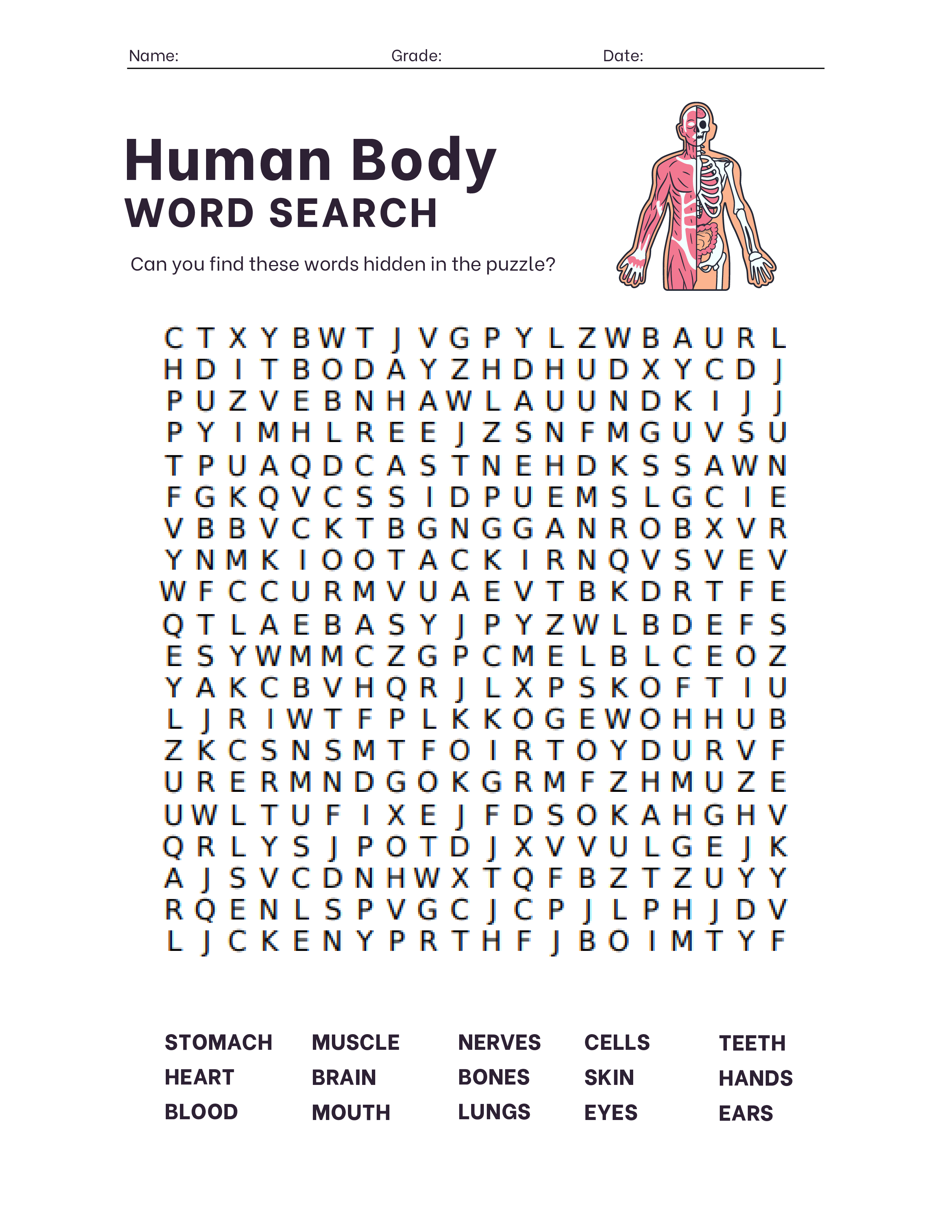Body Word Search | Education World