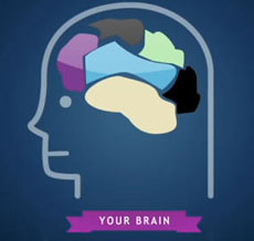 iPad App Review: BrainScape | Education World