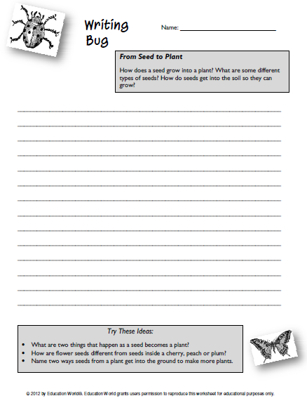 Writing Bug: From Seed to Plant | Education World