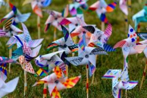 Pinwheels for Peace | Education World