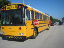 Helping Kids Get To School Safely With ‘Walking School Bus’ Programs ...