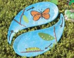 Science Craft Fun: Butterfly Life | Education World