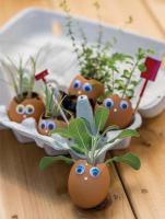 Eggshell People | Education World