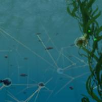 How Stable is Your Food Web? | Education World