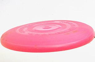 Every-Day Edits: Fabulous Frisbees | Education World