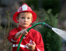 Lesson: Facing Fire Facts | Education World