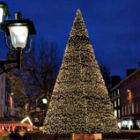 Lesson: Counting Christmas Trees | Education World