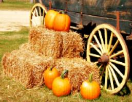 Education World's 5 Favorite Fall Field Trip Ideas | Education World