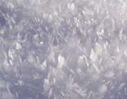 Grow Your Own Snow Crystals | Education World