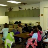 Teachers Discuss How to Discipline Disruptive Classroom Behavior ...