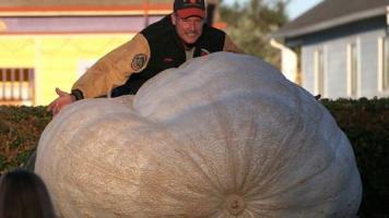 Whopper of a pumpkin grown! It's a new Record! | Education World